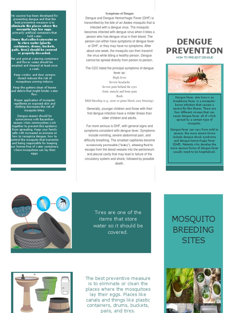 Iec Dengue | Mosquito | Epidemiology