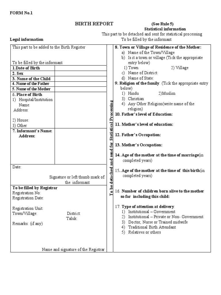 Birth Report Form No. 1 Instructions | PDF | Human Reproduction | Motherhood