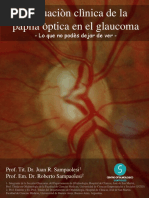 Anatomía y Patología de La Papila Óptica | PDF | Retina | Ojo humano