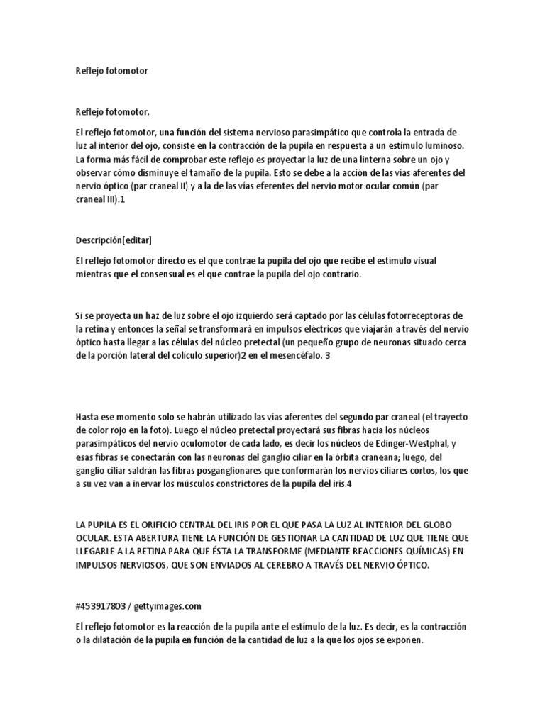 Reflejo Fotomotor: Mecanismos y Funciones | PDF | Ojo humano | Sistema ...