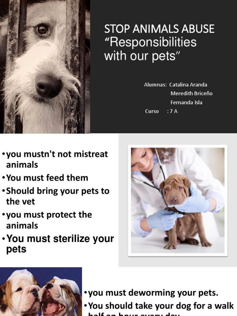 Stop Animals Abuse "Responsibilities With Our Pets " | PDF