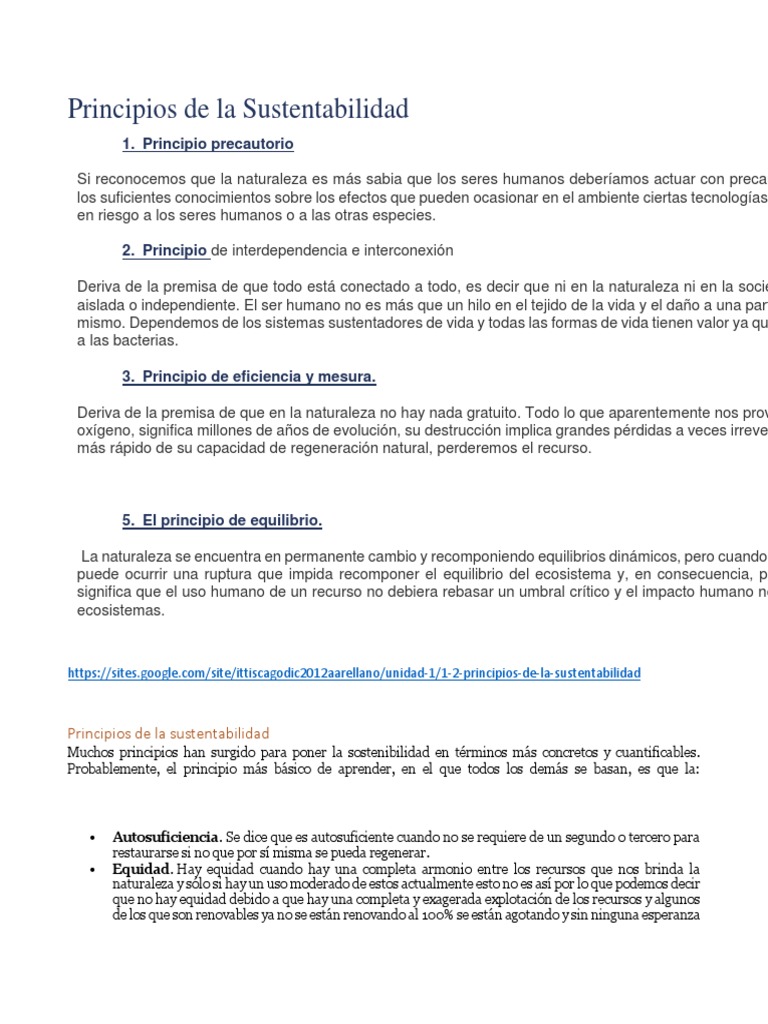 Principios De La Sustentabilidad Pdf Desarrollo Sostenible