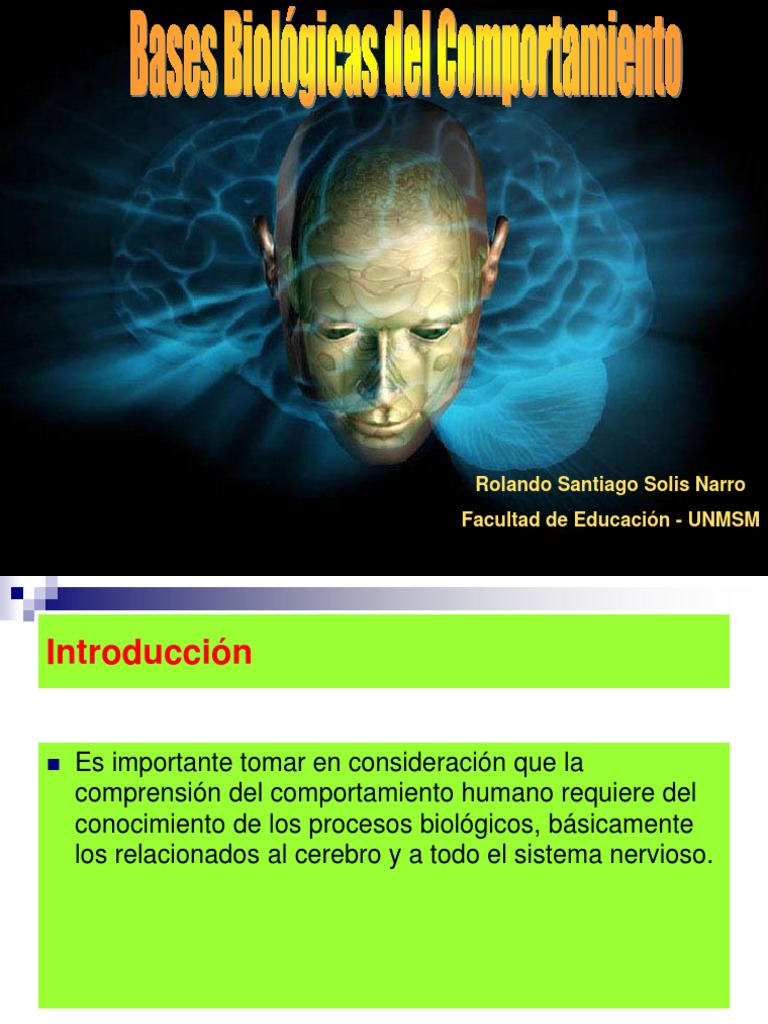 BASES BIOLOGICAS DEL COMPORTAMIENTO.ppt | Sinapsis | Hemisferio cerebral