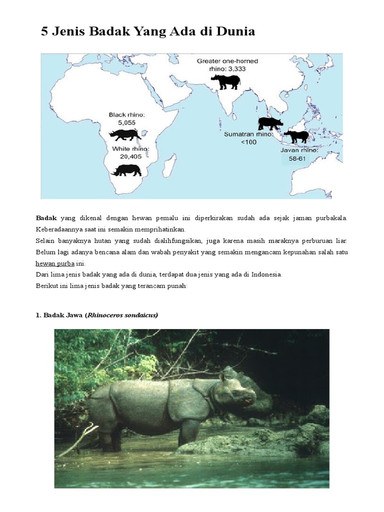 5 Jenis Badak Yang Ada Di Dunia | PDF