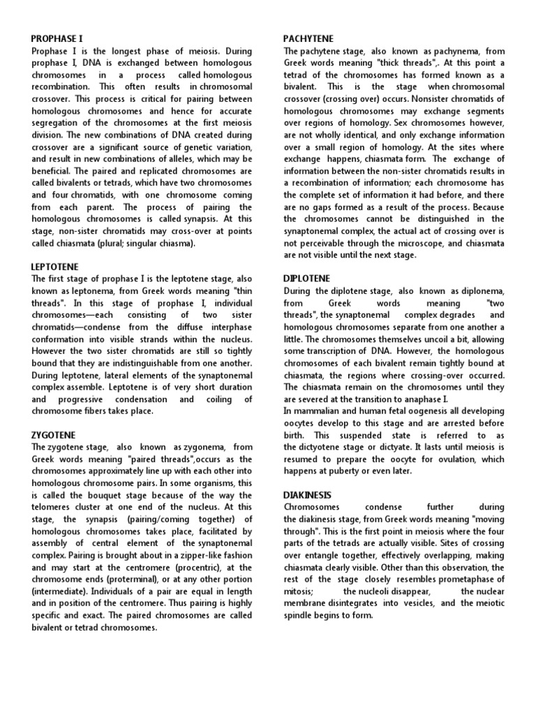 Prophase I | PDF | Meiosis | Cellular Processes