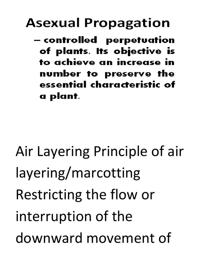 Air Layering Techniques and Principles | PDF