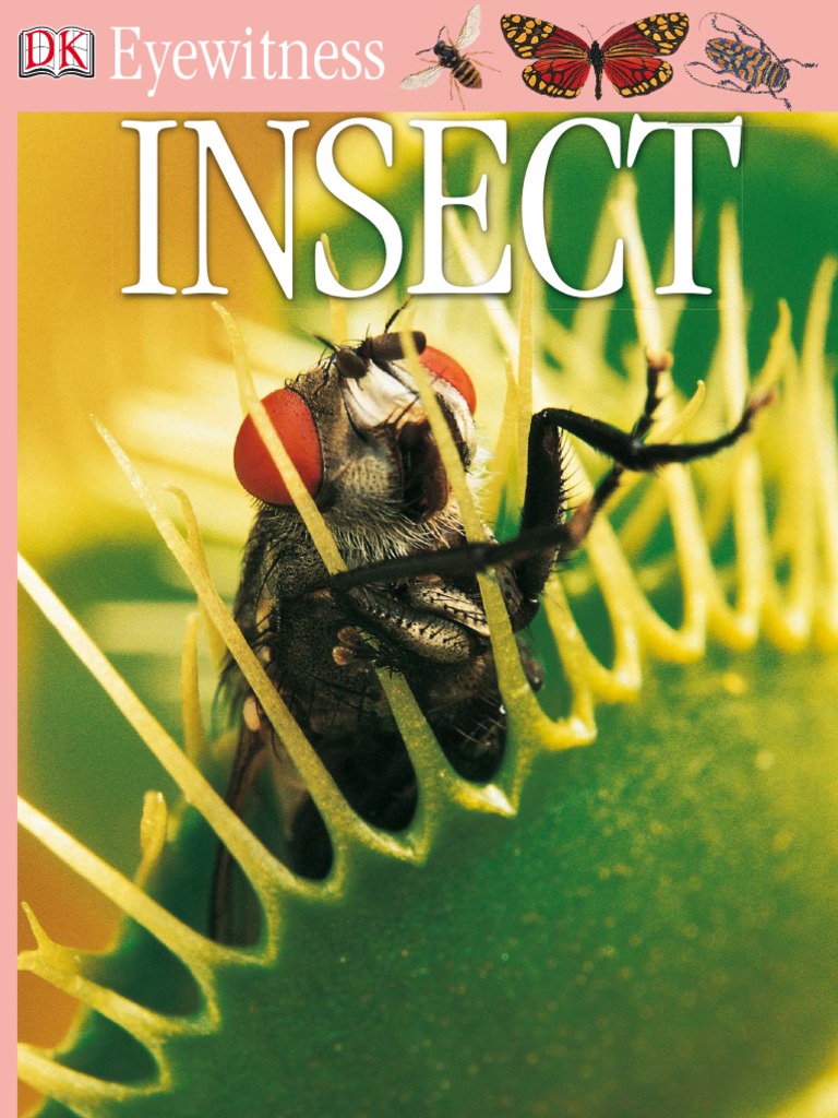DK Insect 2007 PDF | PDF | Insects | Fly