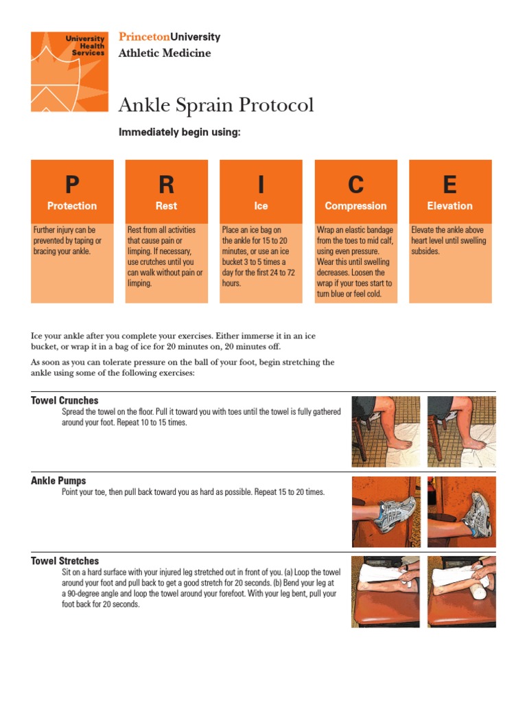 Ankle Sprain Protocol | PDF | Foot | Anatomical Terms Of Motion