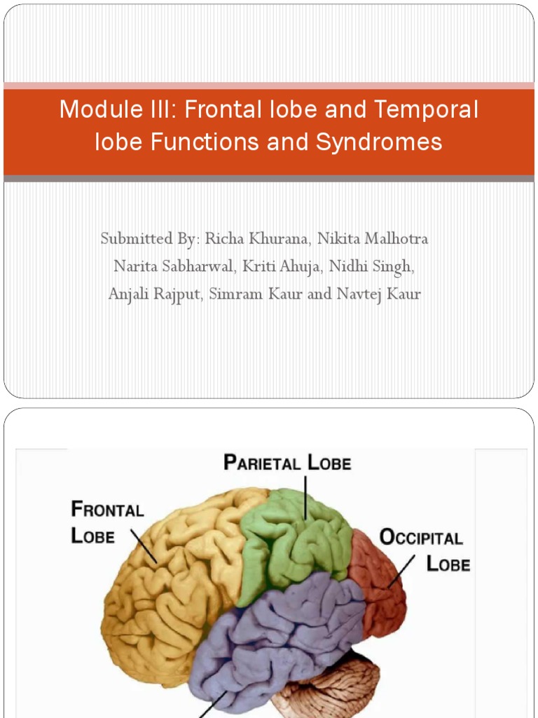 Frontal Lobe and Temporal Lobe Functions and Syndromes | PDF | Temporal ...