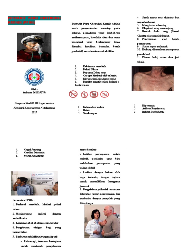 Leaflet Ppok | PDF