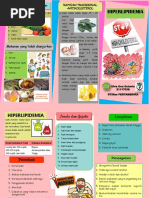 Insert FUTROLIT | PDF | Sains & Matematika