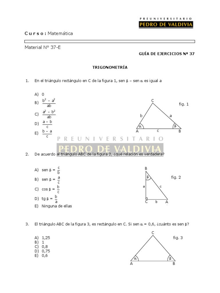 Guía de Ejercicios de Trigonometría | PDF | Triángulo | Espacio