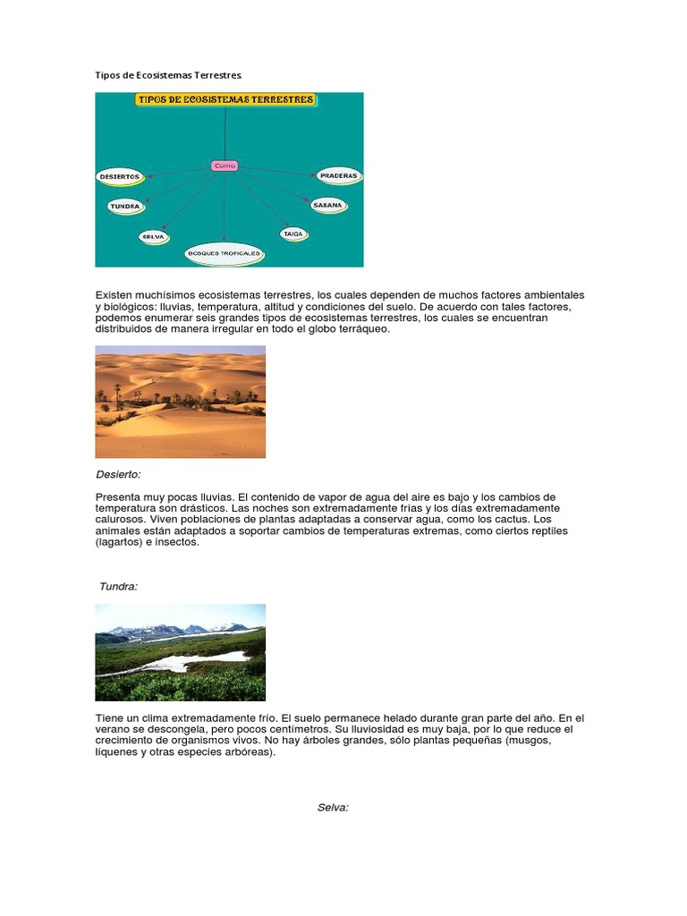 Tipos de Ecosistemas Terrestres | PDF | Ecosistema | Selva