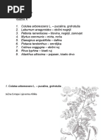 Dendrologija | PDF