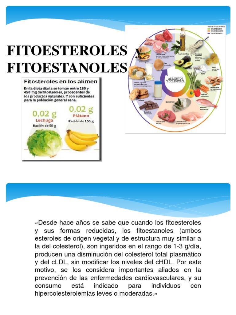 Fitoesteroles | PDF | Lípido | Colesterol