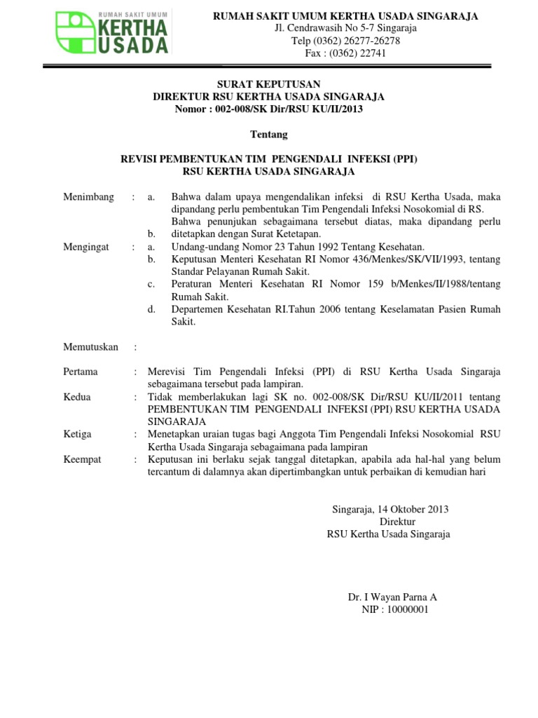 SK Revisi Tim Ppi Rsku | PDF