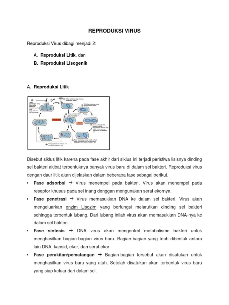 Reproduksi Virus | PDF