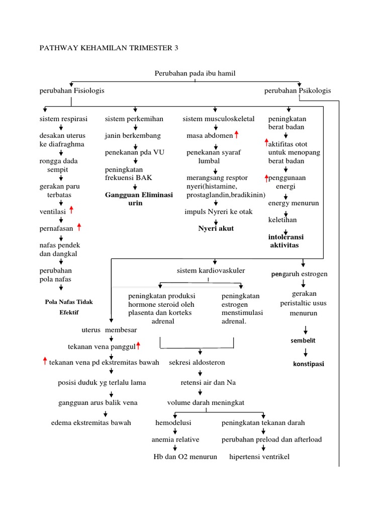 Pathway Kehamilan Trimester 3 | PDF