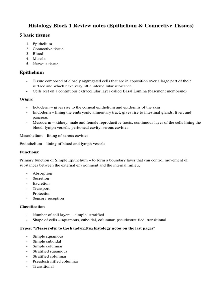 Epithelium and Connective Tissue Notes | PDF | Epithelium | Connective ...