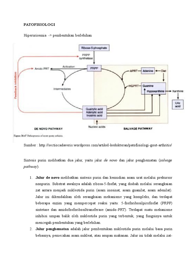 PATOFISIOLOGI Hiperurisemia | PDF