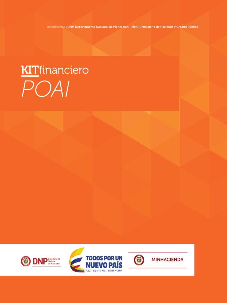 Guía para el POAI: Estructura y Proyectos | PDF | Presupuesto ...