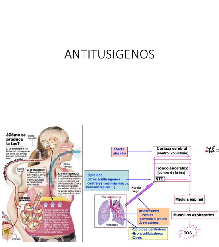 ANTITUSIGENOS | PDF