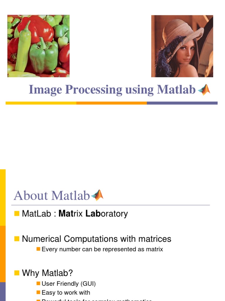 Introduction To Image Processing Using Matlab | PDF | Rgb Color Model | Matrix (Mathematics)
