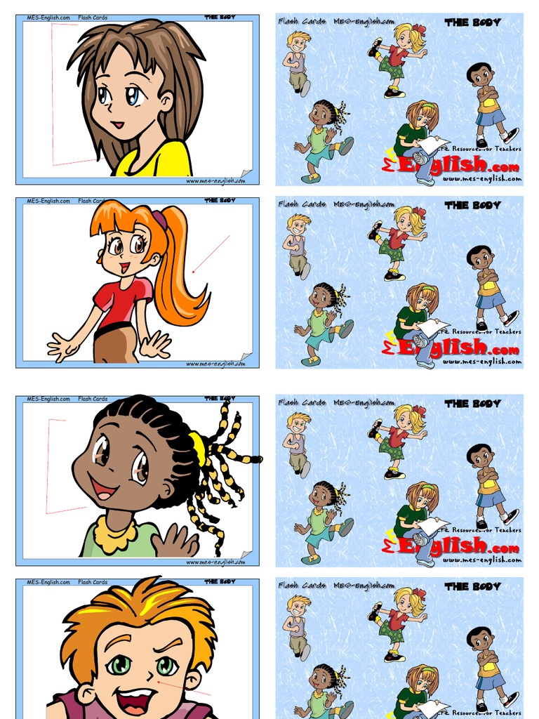 Body Flash Cards Overview | PDF