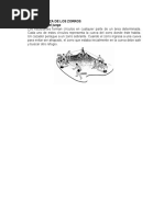 La Leyenda del Jarjacha Andino | PDF