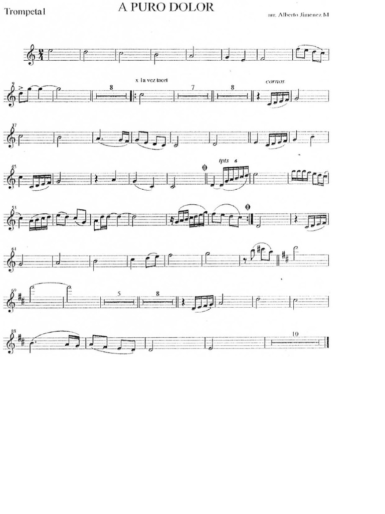 A Puro Dolor PDF | PDF