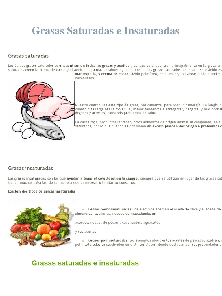 Grasas Saturadas e Insaturadas | PDF | gordo | Grasas trans