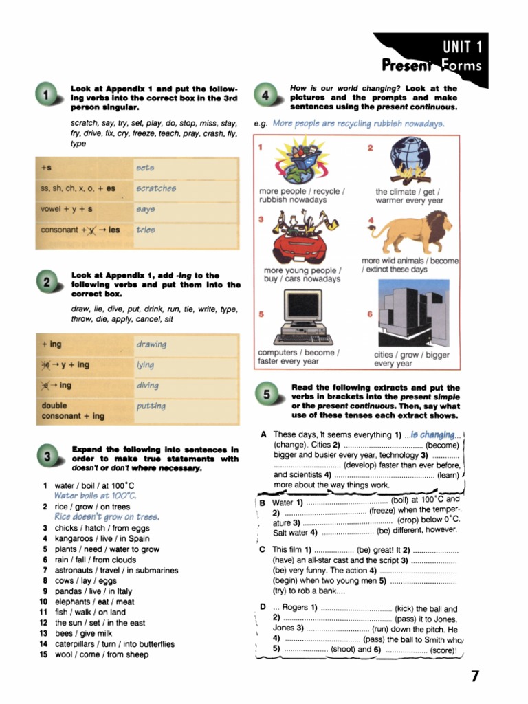 Exercises Present Tenses - Grammar Way PDF | PDF