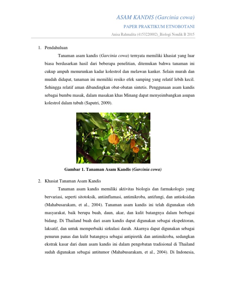 Paper Asam Kandis | PDF