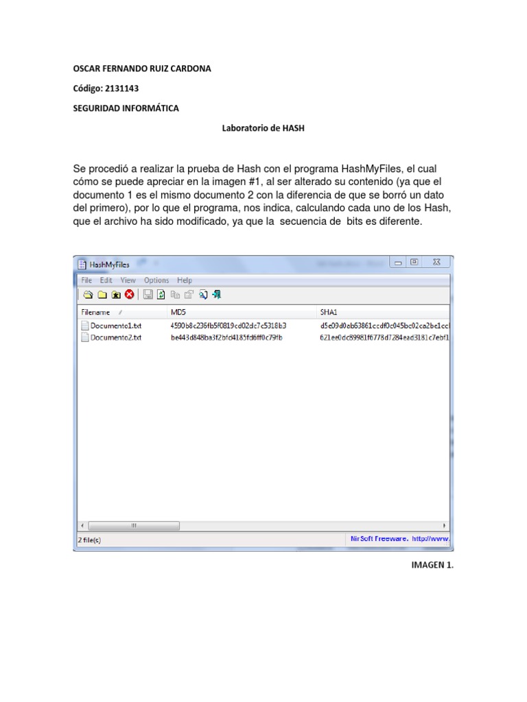 Análisis de Hash en Seguridad Informática | PDF | Criptografía ...