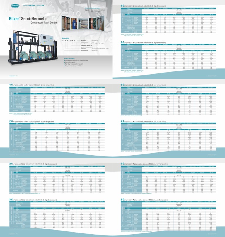 Bitzer Semi-Hermetic Compressor Rack System | PDF