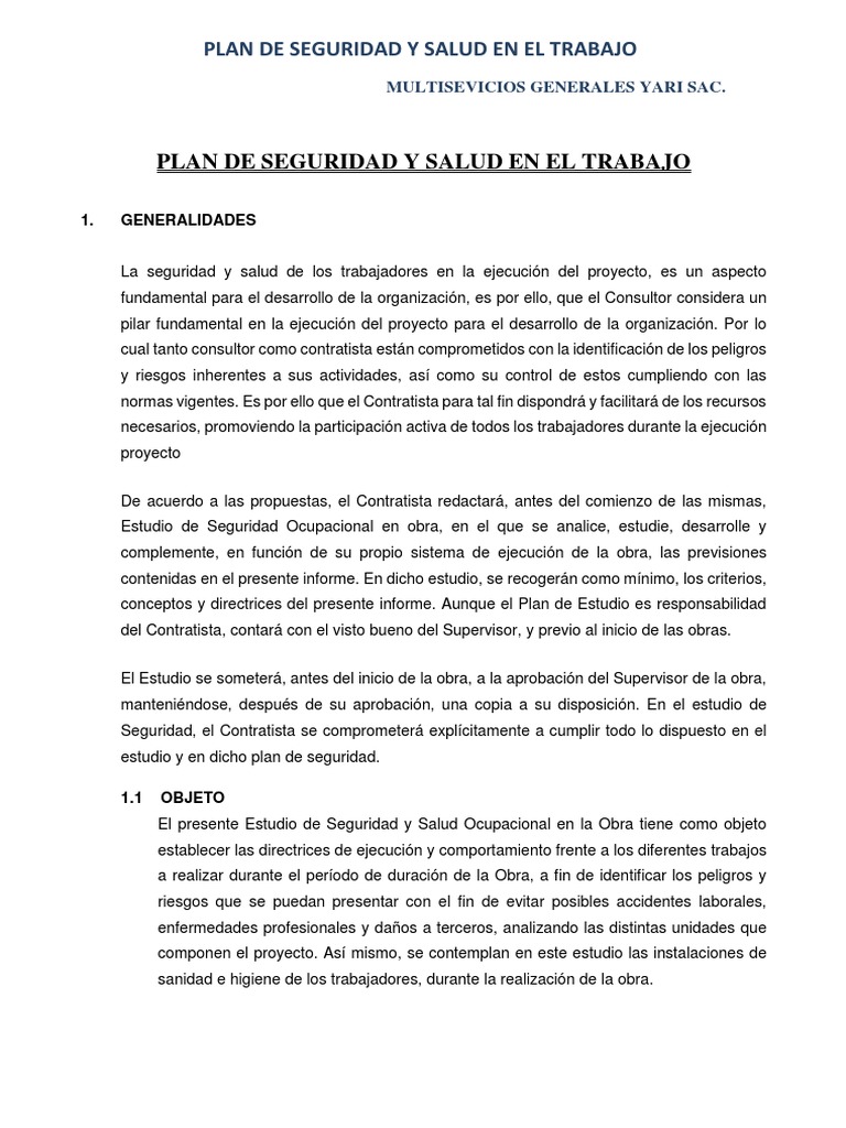 Plan de Seguridad y Salud en El Trabajo Modelo | PDF | La seguridad | Business