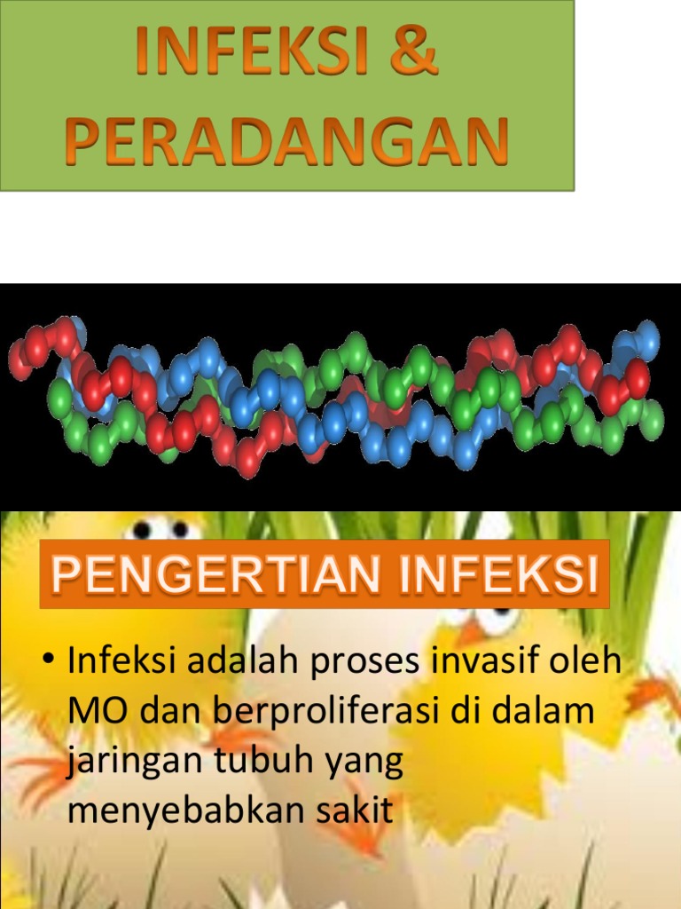Proses Inflamasi | PDF