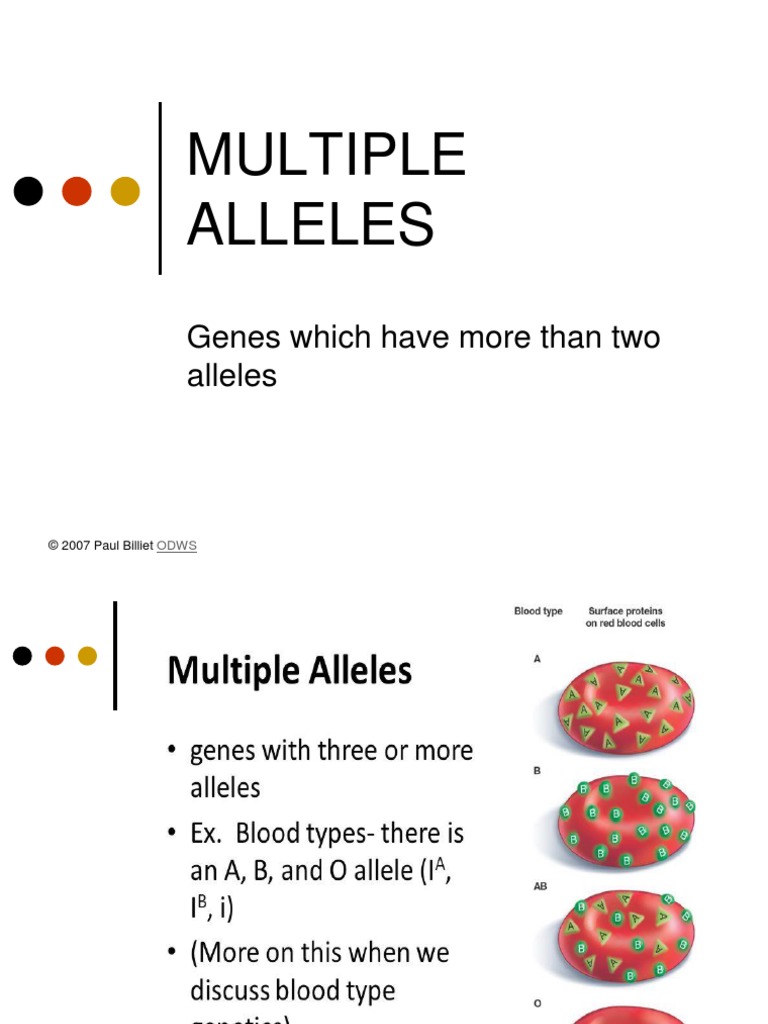Multiple Alleles: Genes Which Have More Than Two Alleles | PDF