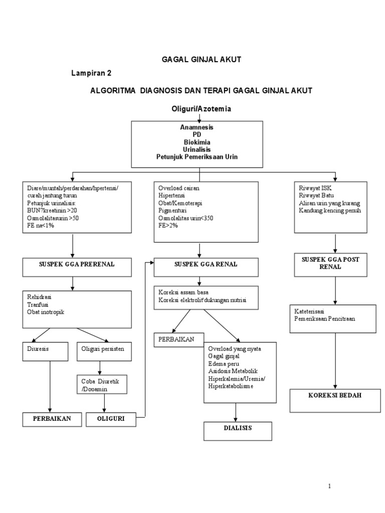 Gagal Ginjal Akut Lampiran 2 Algoritma Diagnosis Dan Terapi Gagal ...