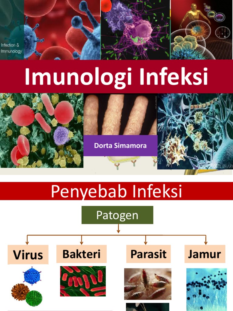 Imunologi Infeksi Virus Dan Bakteri | PDF
