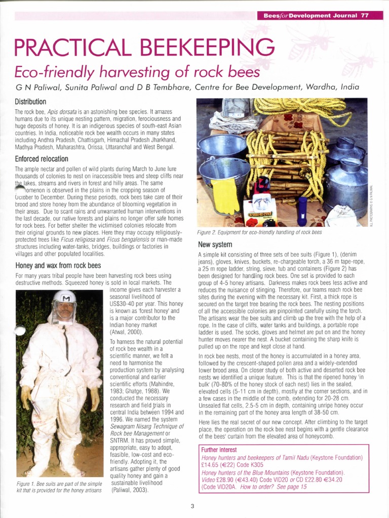 Practical Bee Keeping | PDF | Beekeeping | Honey Bee