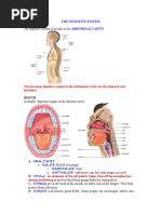 Digestive Disorders in Geckos From Vetlexicon Reptile | PDF | Human ...