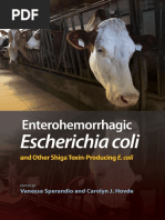 Nursing Plan of Care Concept Map - Immobility - Hip Fracture | PDF ...