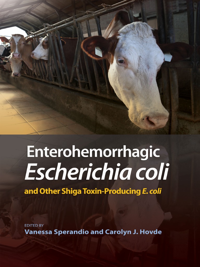 E Coli 2015 | PDF | Escherichia Coli | Microbiology