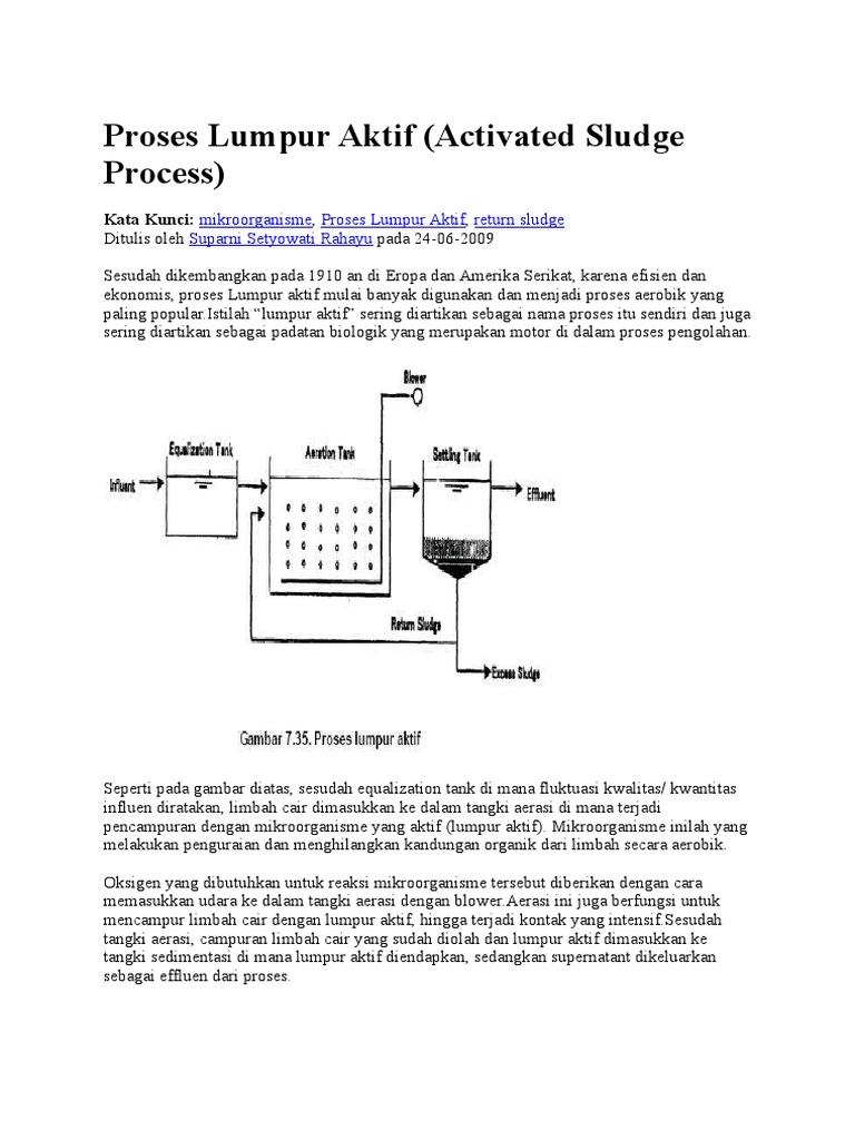 Proses Pengolahan Limbah dengan Lumpur Aktif | PDF | Sains & Matematika