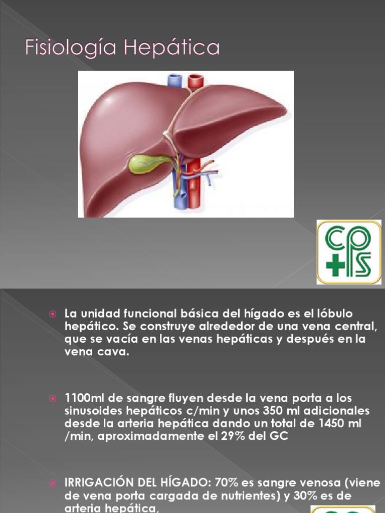 Fisiología Hepática | PDF | Hígado | Transaminasa