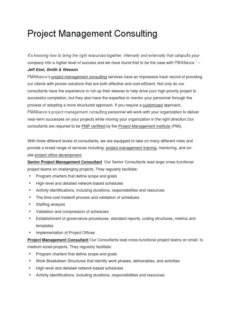 Project Management Consulting | PDF | Project Management | Consultant