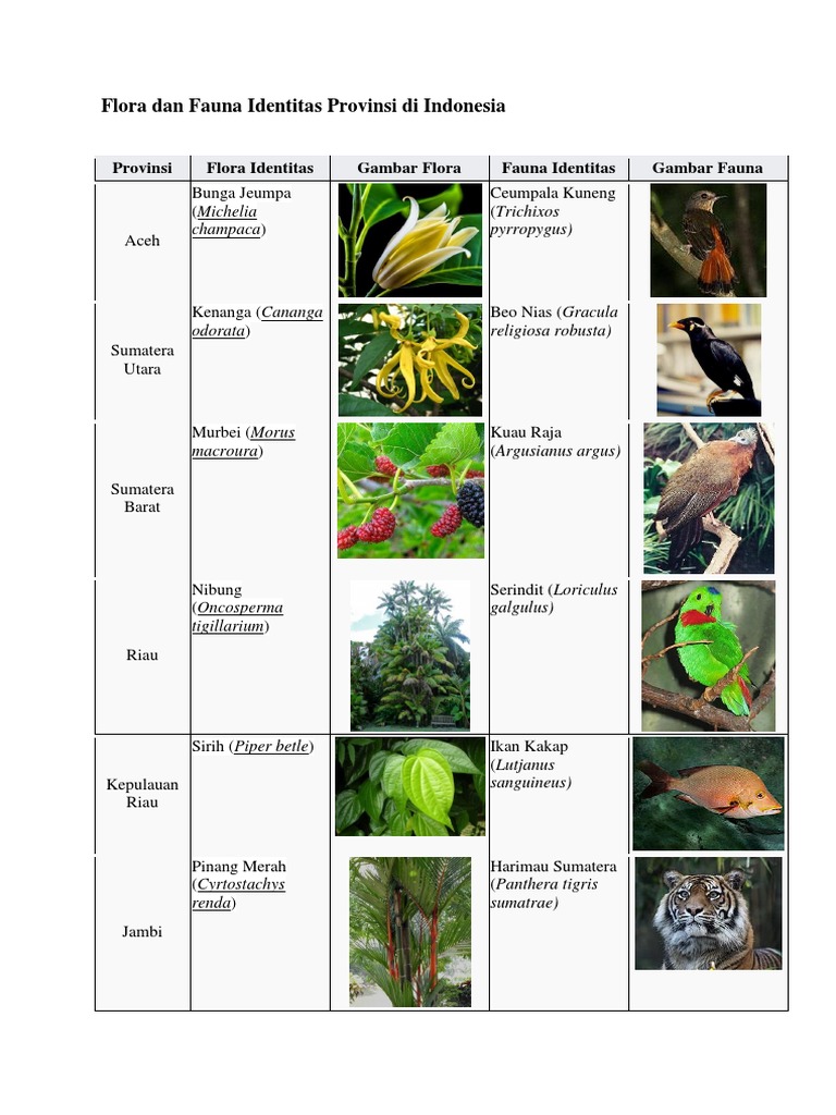 Flora Dan Fauna Provinsi | PDF