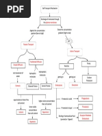 Cell Transport Concept-Map | PDF | Membrane Biology | Life Sciences
