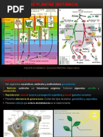 Tallos Modificados - Botánica | PDF | Tallo de la planta | Morfología ...
